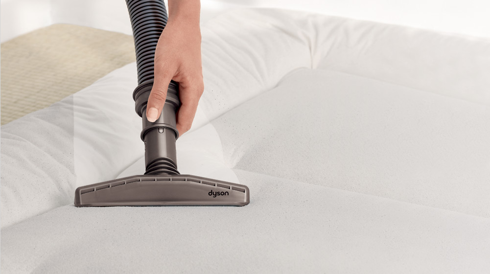 Explore the Latest Dyson Accessories and Tools